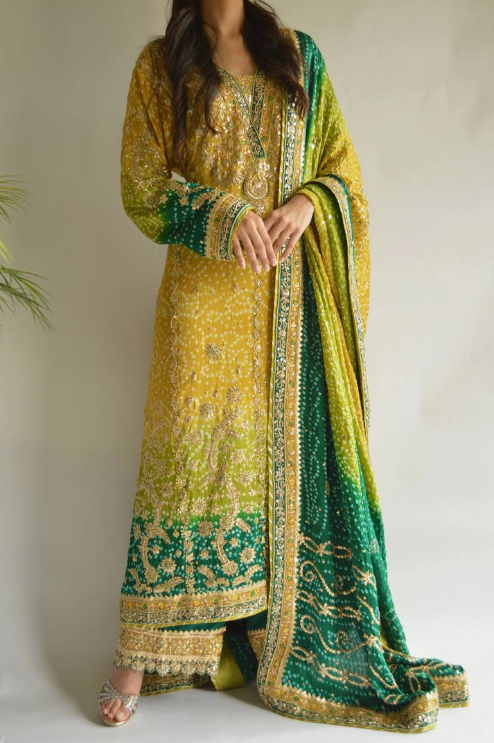 Discover Two Stunning Styles of Traditional Pakistani Dresses – Class ...